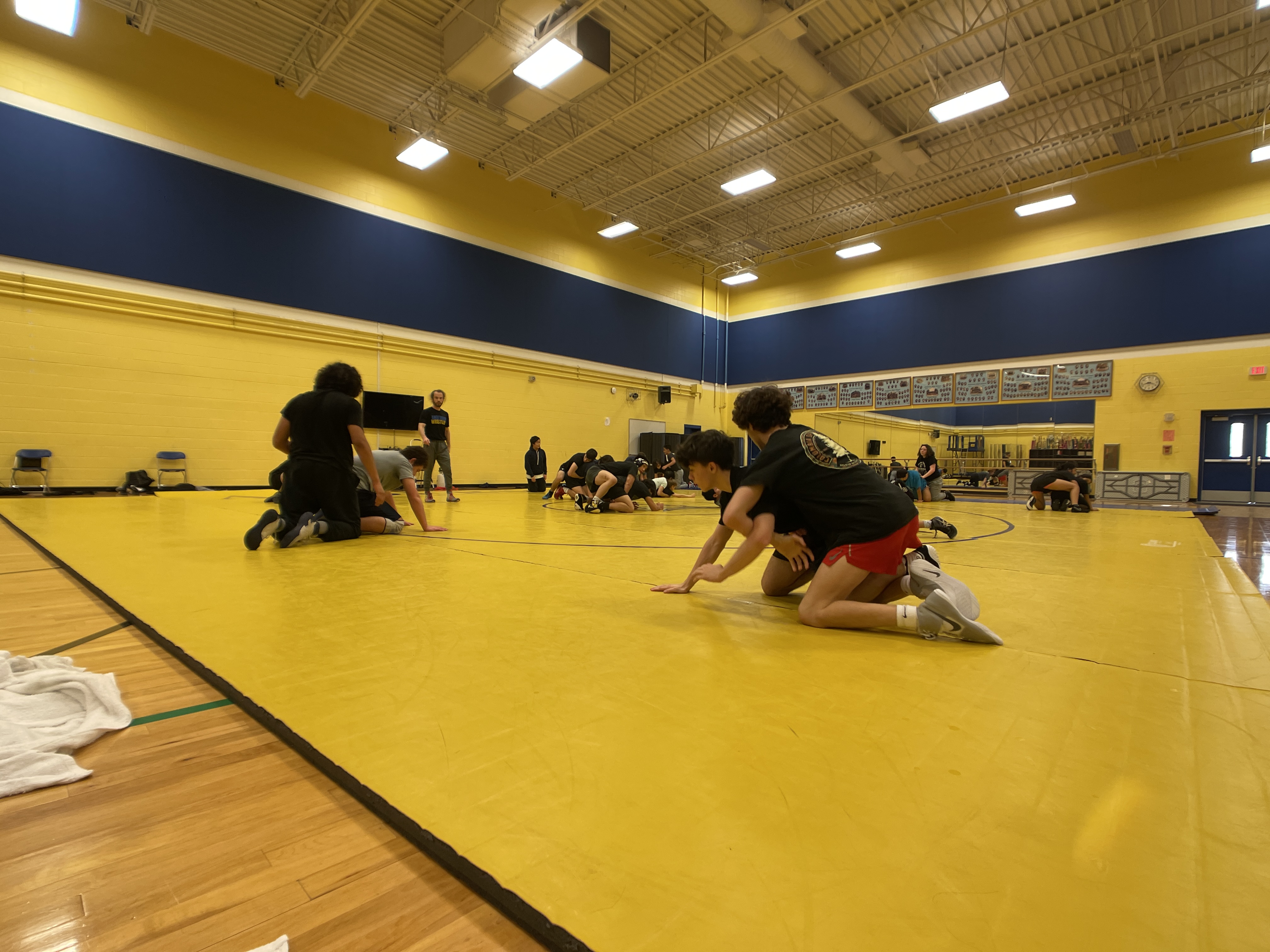 School Profile: Anderson High School