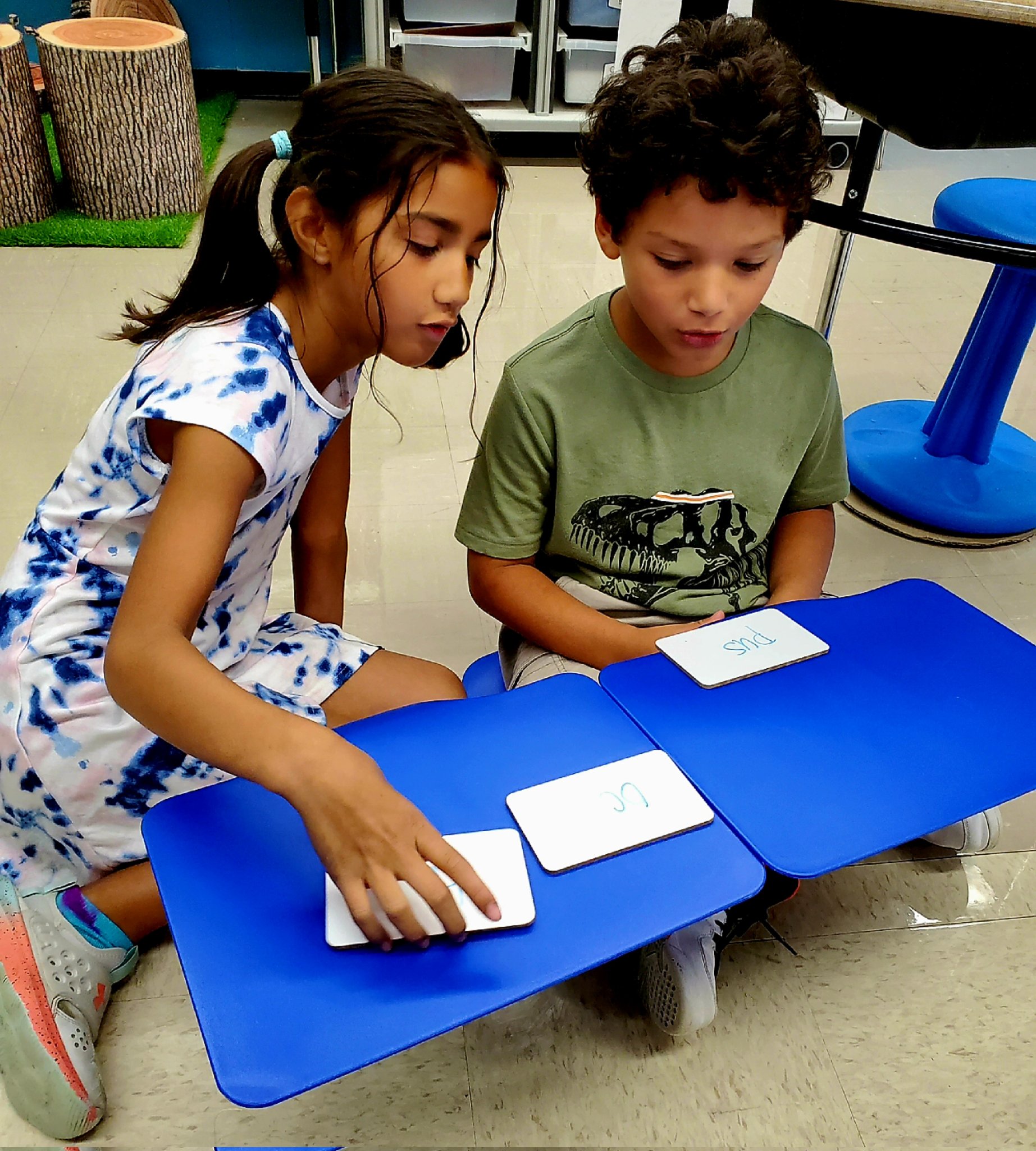 School Profile: St. Elmo Elementary School